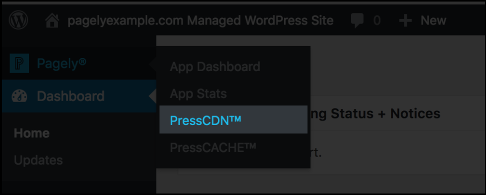 How to enable CDN in WordPress (ARES) – [Pagely® SupportOps]